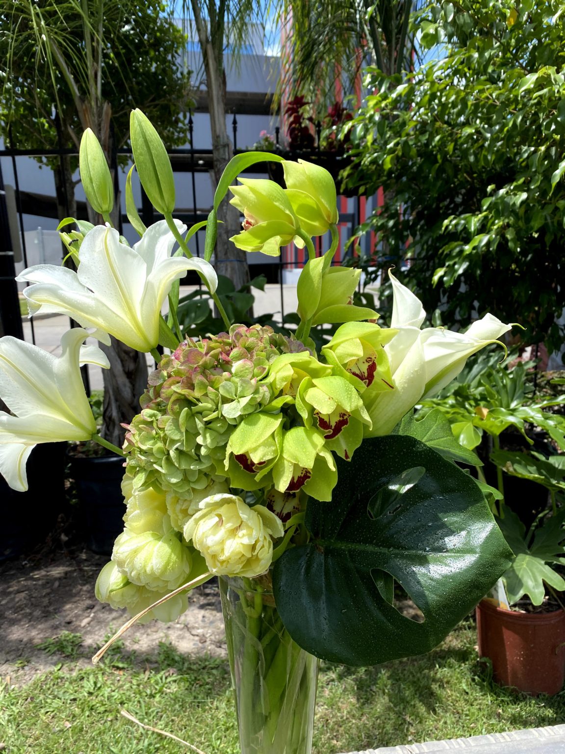 Best Flowers in Houston - Tanglewood Flowers & Garden
